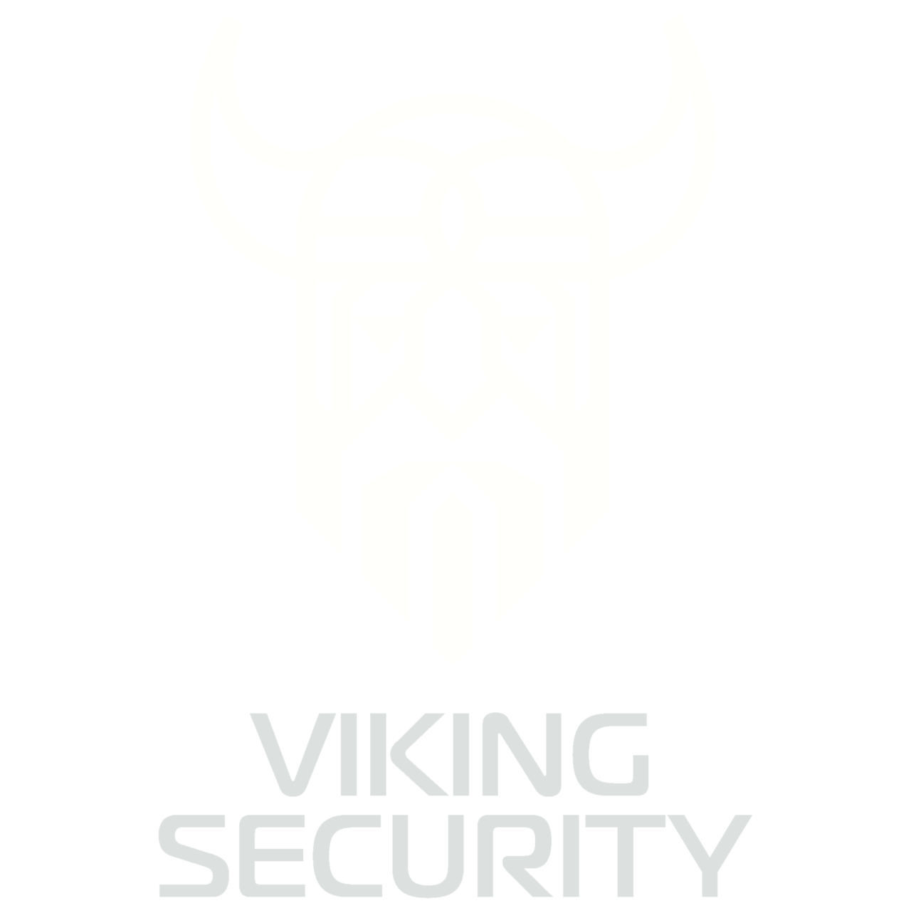 VIKINGSECURITY - Viking Security